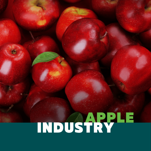 Australian Apple Fruit Packaging | Naturpac Ecopackaging